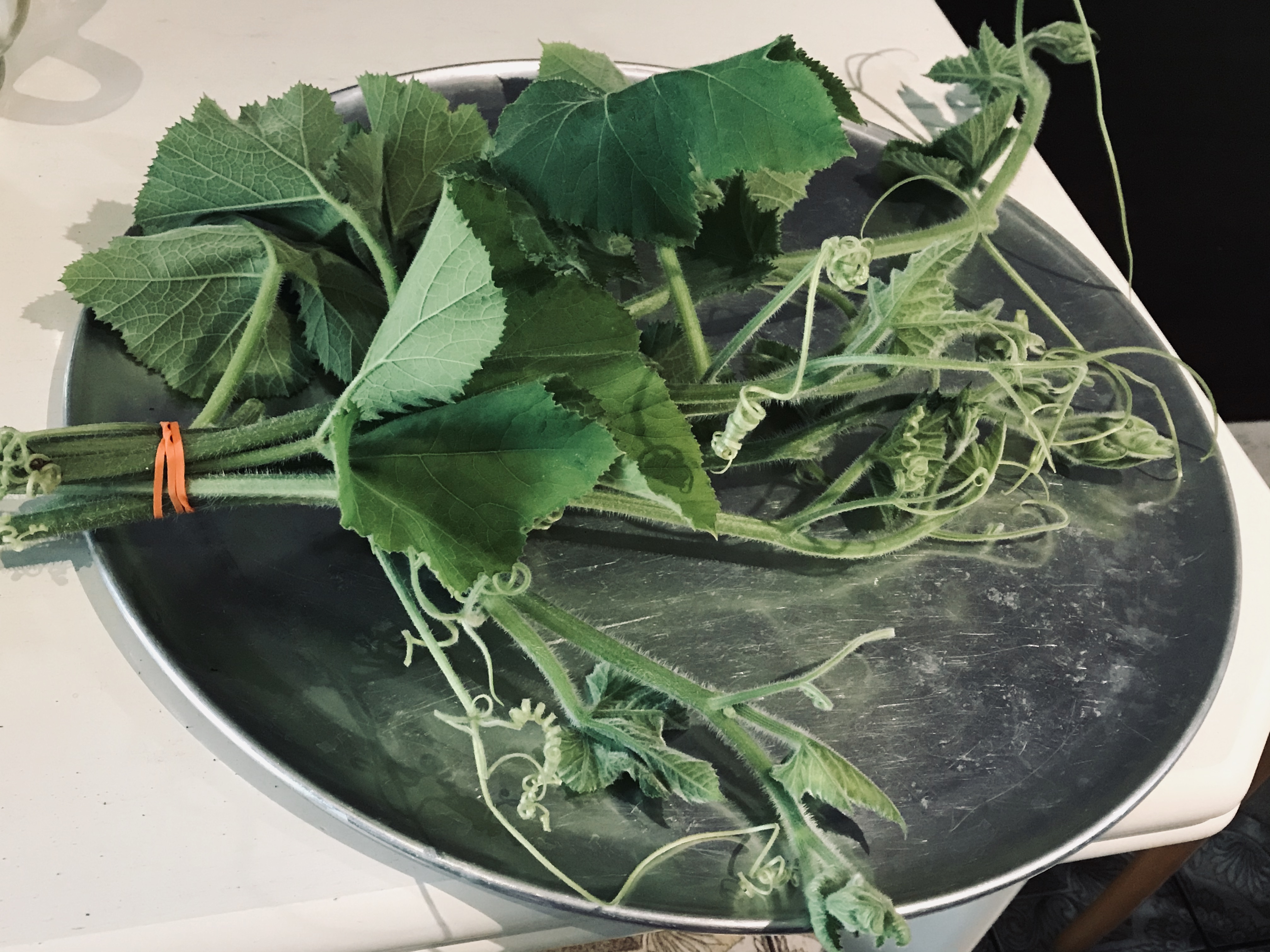 Boiled Pumpkin Shoots – Fish Tree Farm